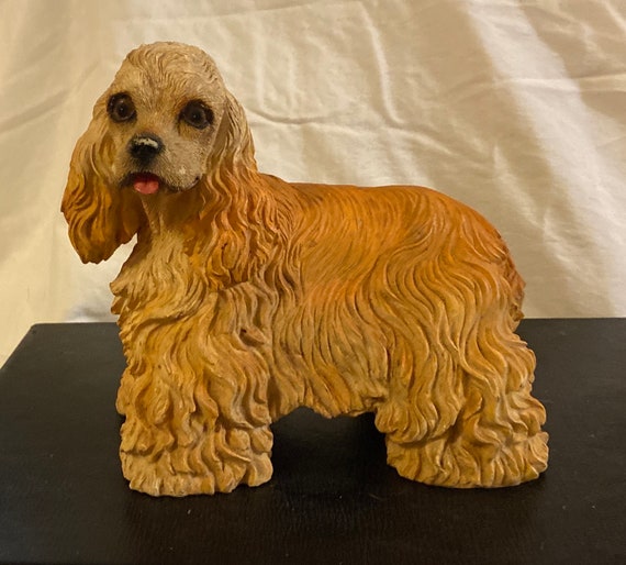 Can A American Cocker Spaniel Live In Australia