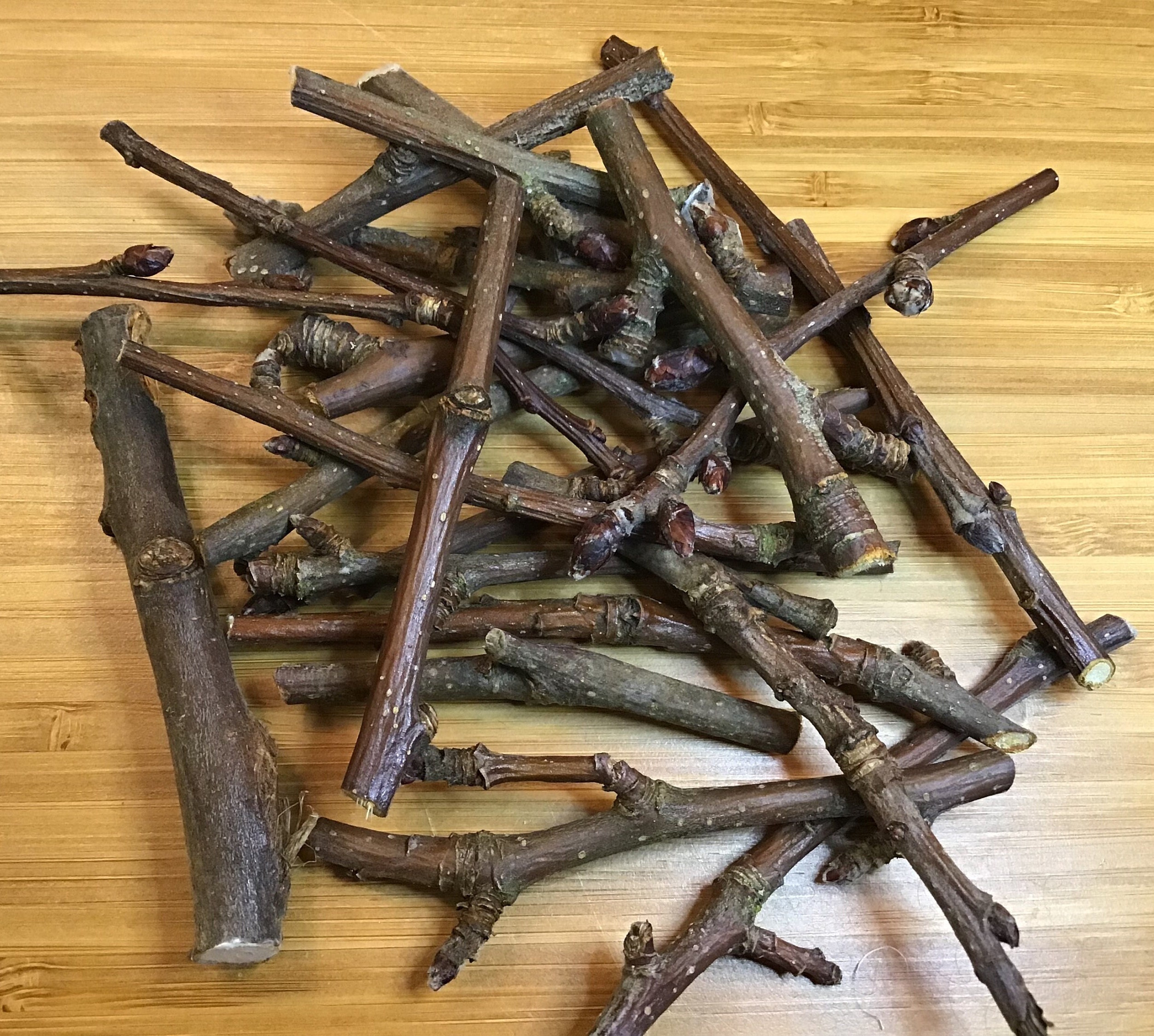 Apple, Pear Wood Chew Sticks - Etsy