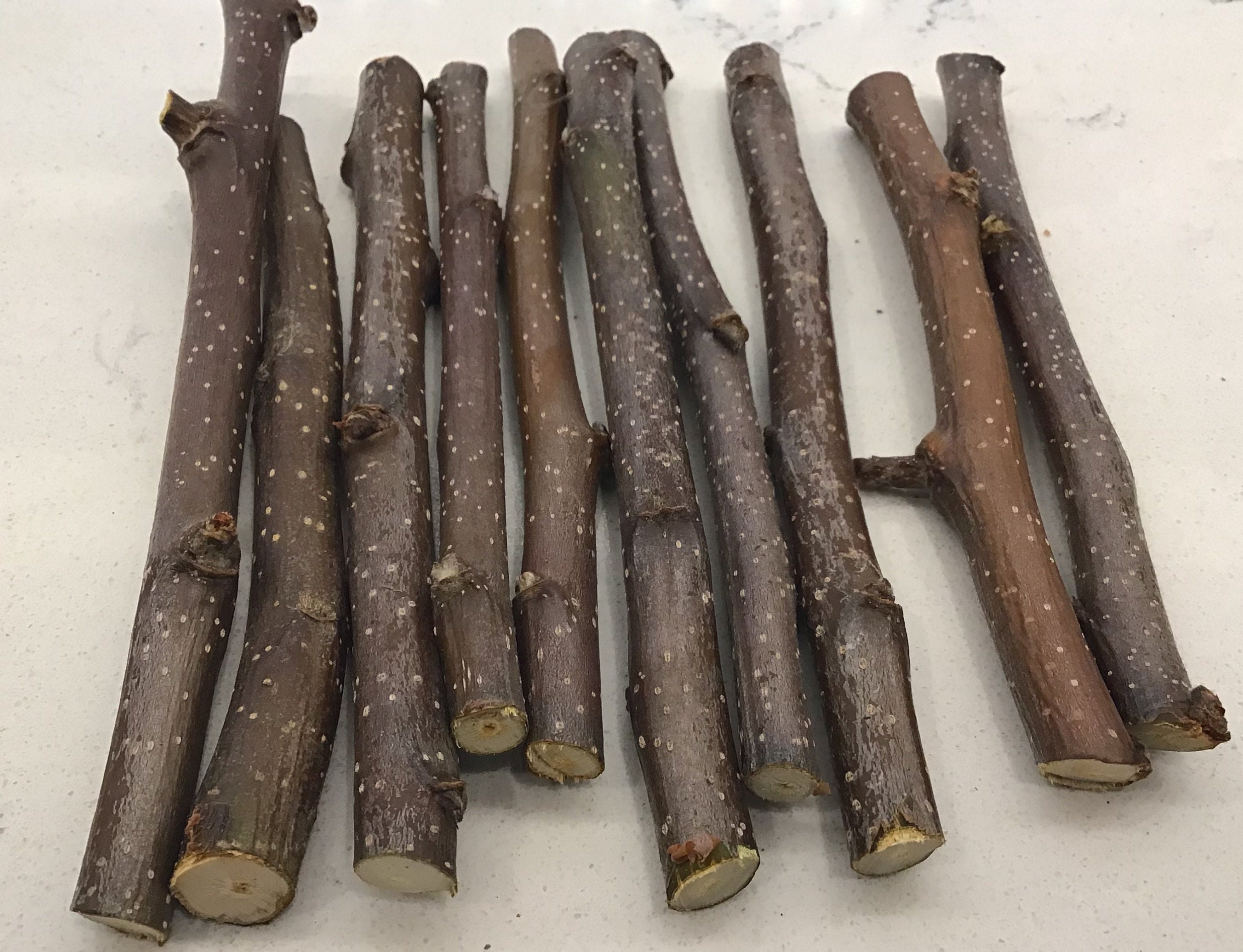 Apple, Pear Wood Chew Sticks - Etsy