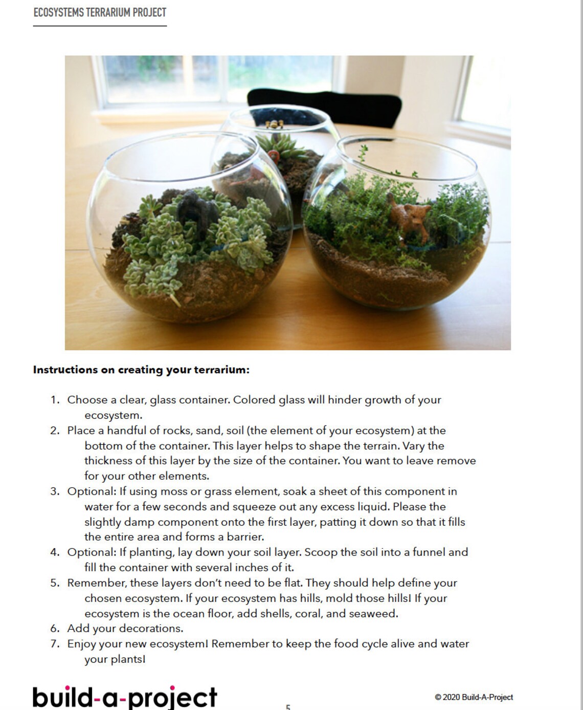 Ecosystem Science Project 5th-9th Grade | Etsy