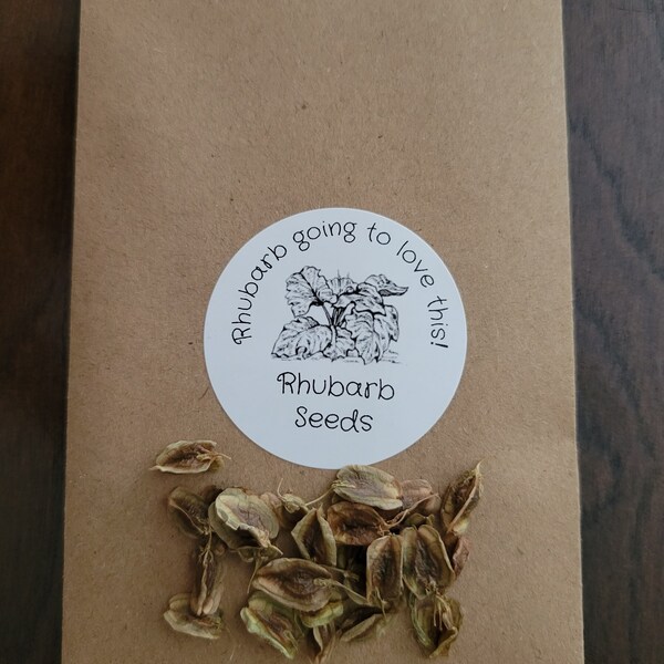 Rhubarb Plants - Etsy
