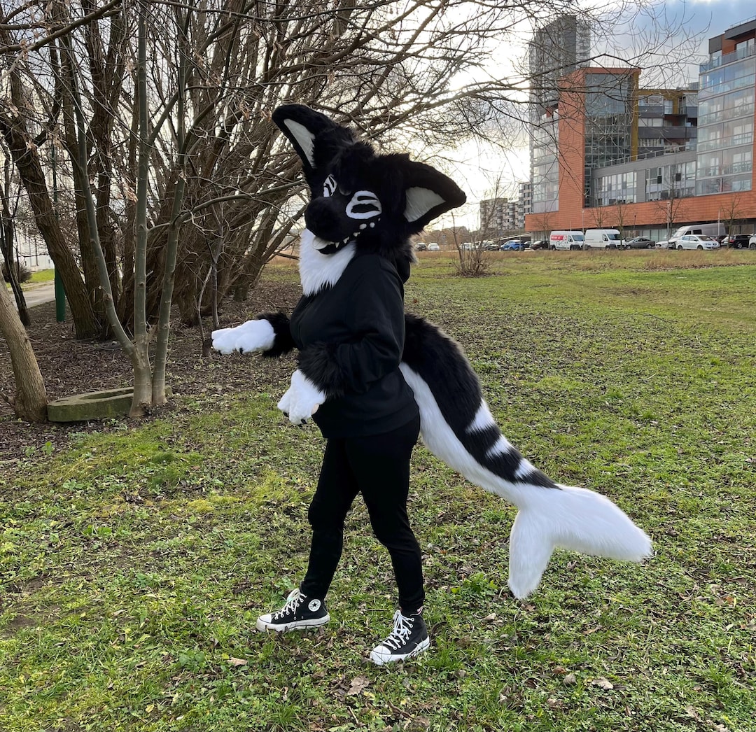 Premade Manokit Fursuit Mini Partial - Etsy