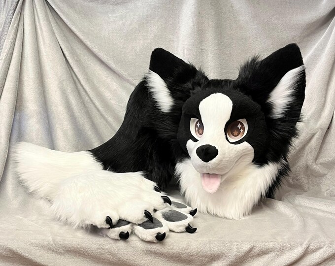 Premade Border Collie Fursuit Mini Partial - Etsy
