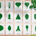 Botany Cabinet Montessori Cards and Posters - 18 Different Leaf Shapes ...