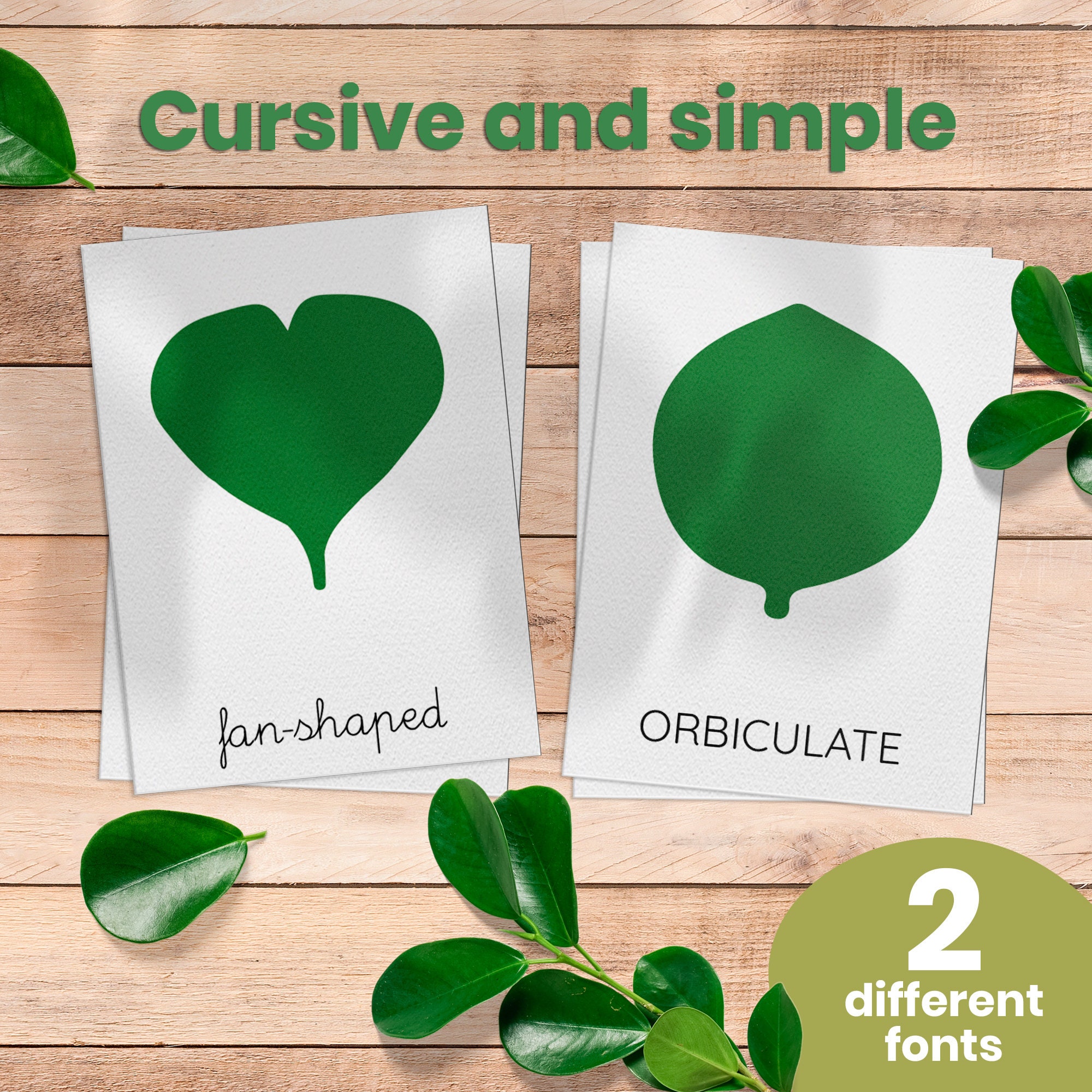 Botany Cabinet Montessori Cards and Posters - 18 Different Leaf Shapes ...