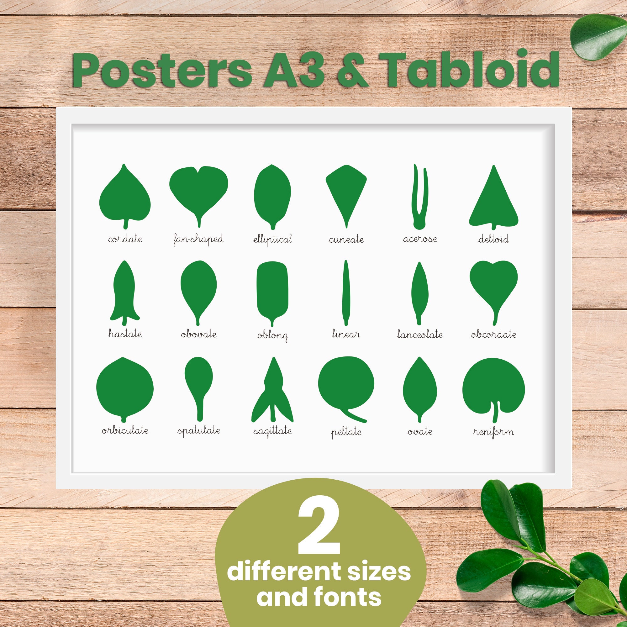 Botany Cabinet Montessori Cards and Posters - 18 Different Leaf Shapes ...