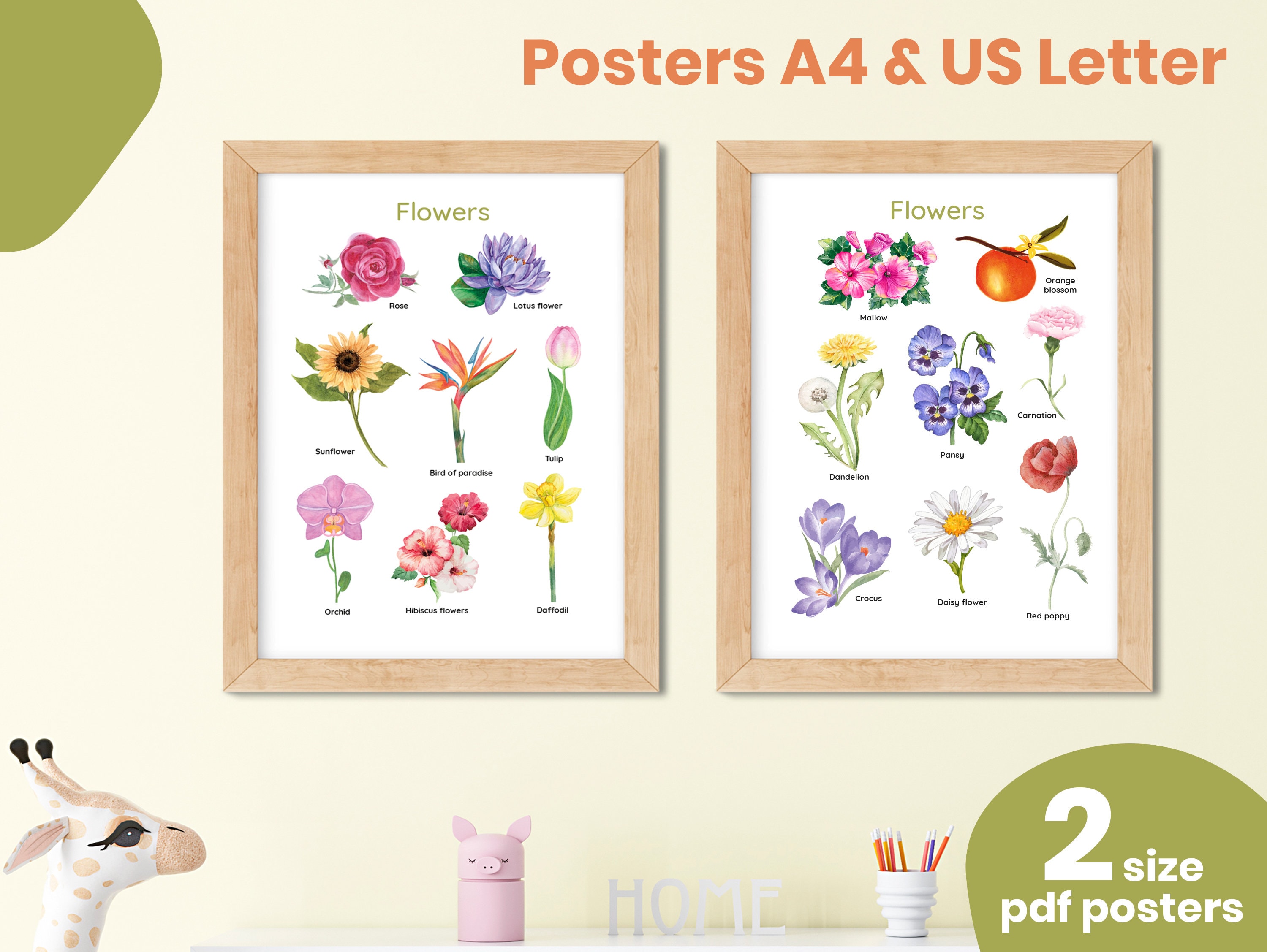 Flowers Unit Study - Printable to Learn About Flower Anatomy, Life ...