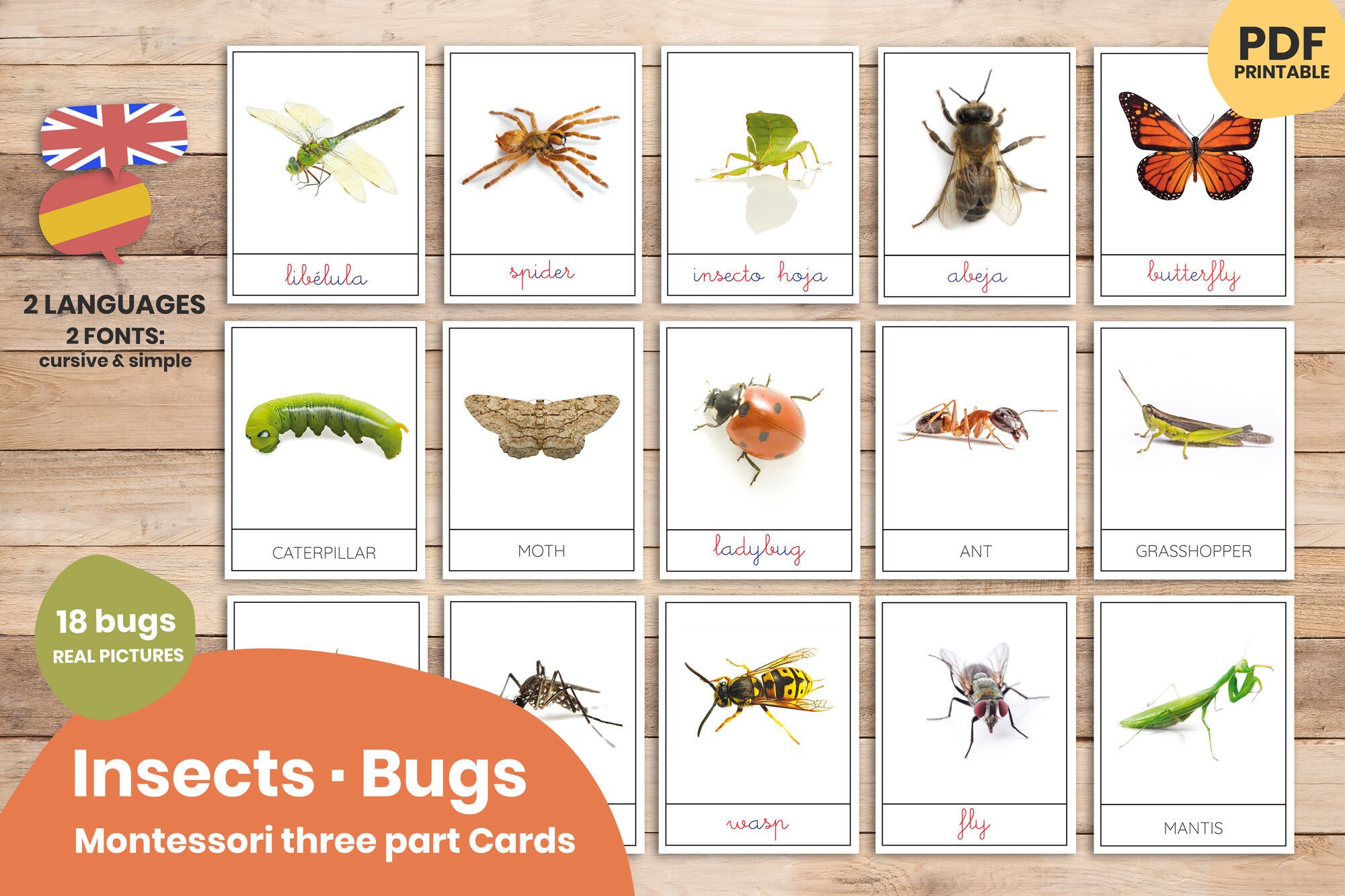 INSEKTEN Montessori-Karten (echte Bilder) • 18 Lernkarten ...