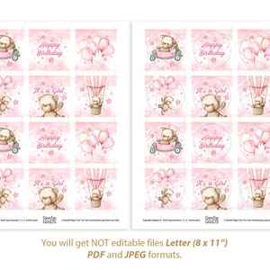 Printable Teddy Bear Cupcake Toppers. Favor Tags. Girls Birthday Decor ...