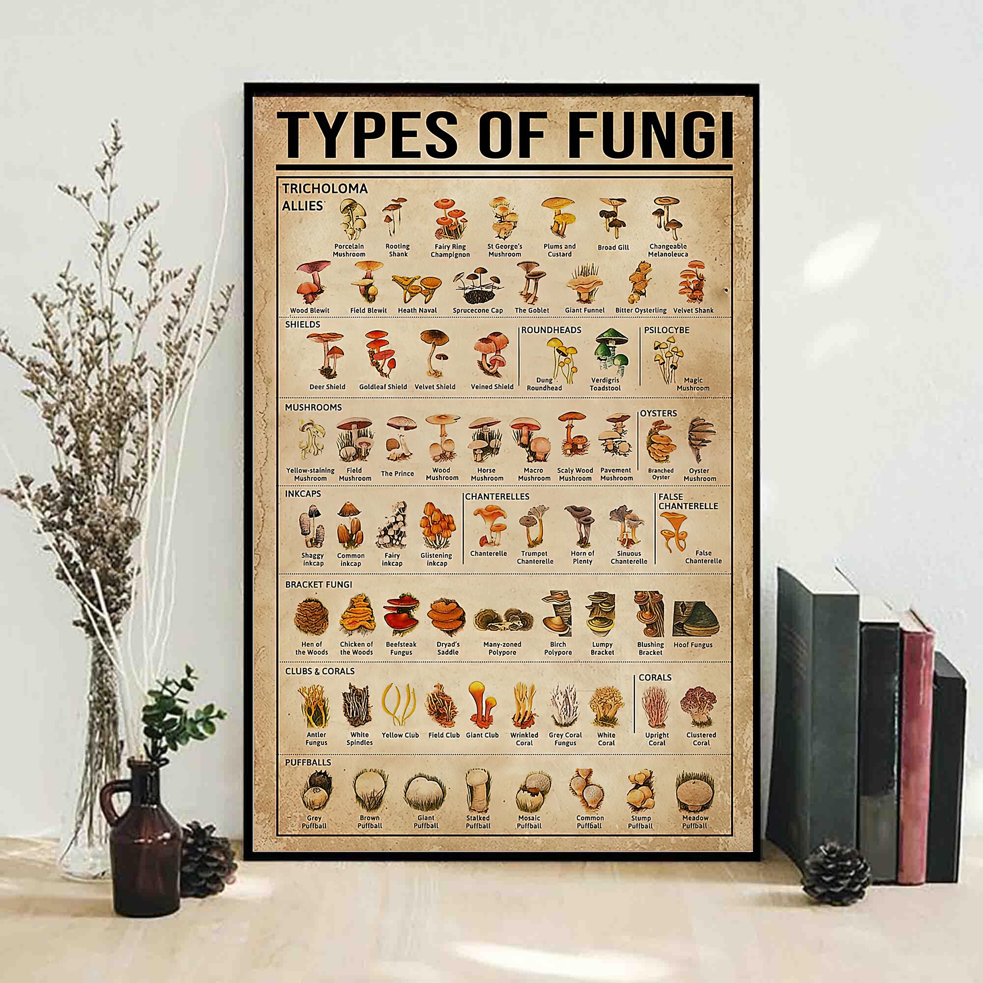 Types of Fungi Poster Types of Fungi Vertical Poster Vintage | Etsy UK