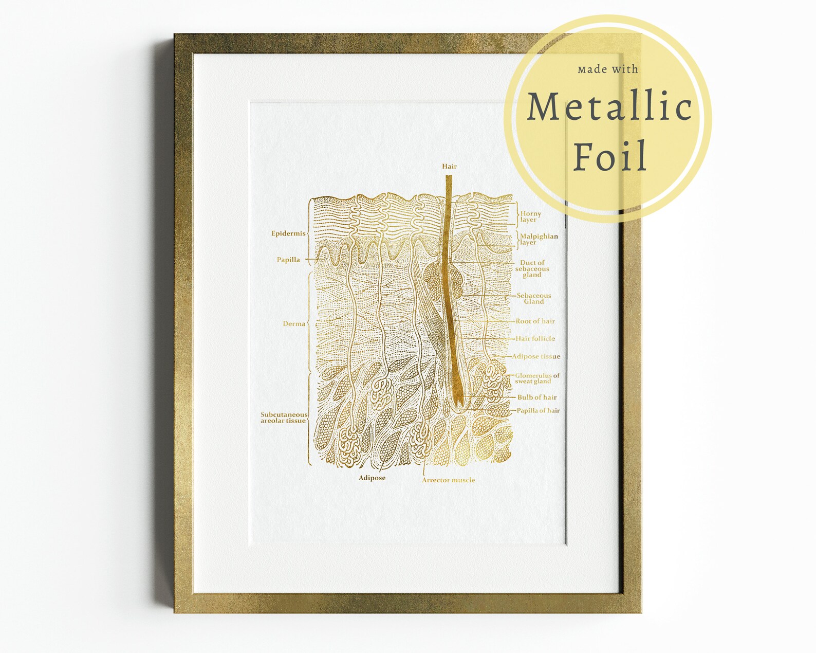 Skin Anatomy Art Dermatologist Gift Foil Print Skin Care - Etsy