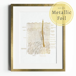 Skin Anatomy Art Dermatologist Gift Foil Print Skin Care Anatomy Poster ...