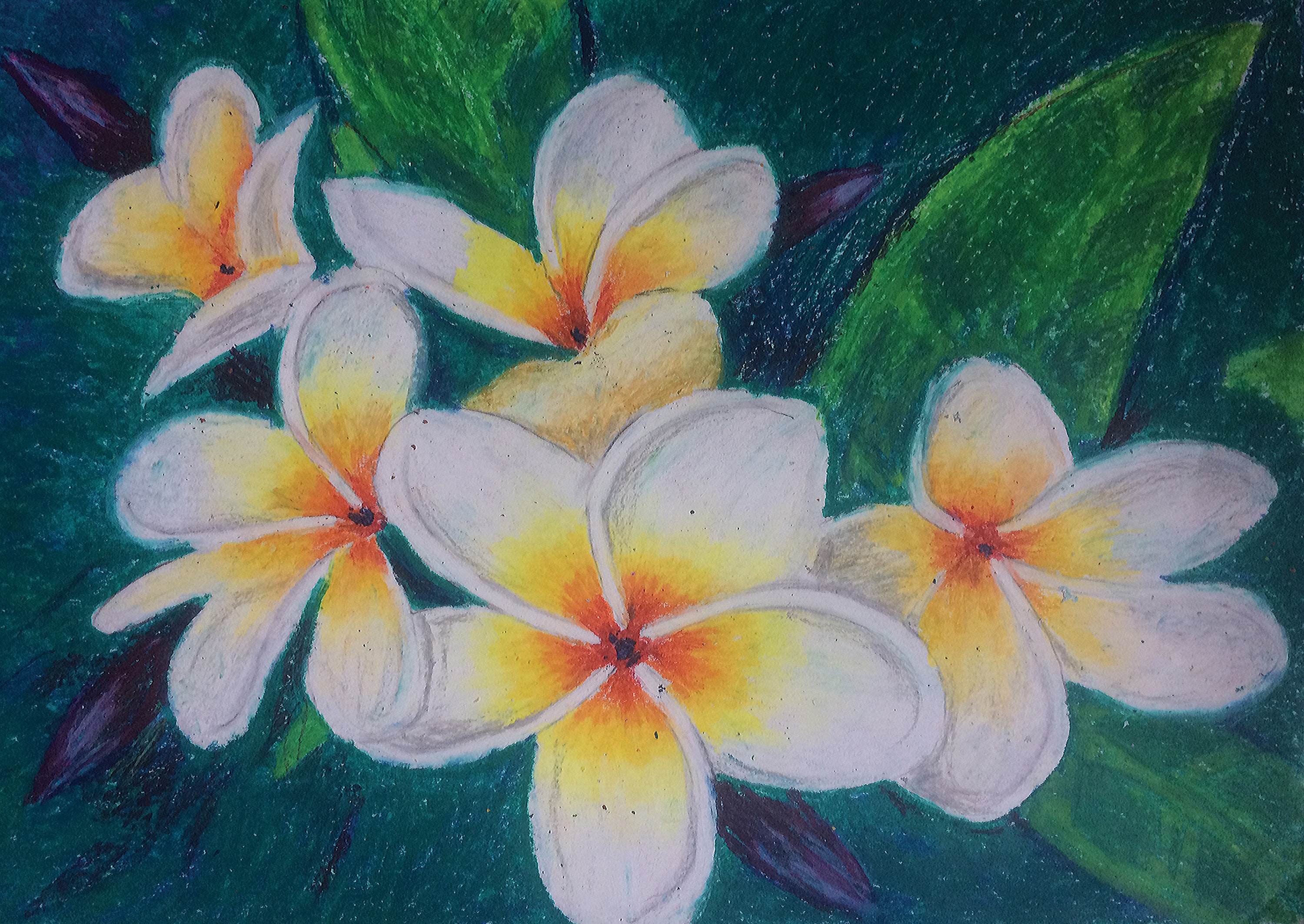 Champa Limited Edition Print Unframed Flowers Champak High Quality 14 ...