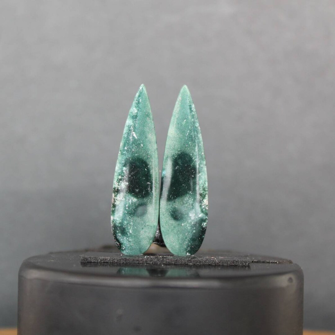 Green Opalized Wood Agate Pair - Etsy