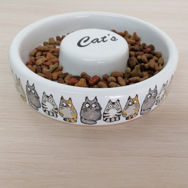 Ceramic Cat Plate Feeding - Etsy