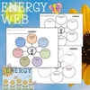 Adaptation Science Graphic Organizer - Etsy
