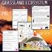 Grassland Ecosystem Science Diorama PBL - Etsy