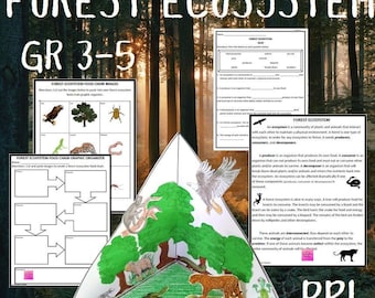 Ecosystem Project, Make a Shoebox Diorama, Use With ANY Ecosystem ...