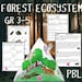 Forest Ecosystem Science Diorama Project - Etsy