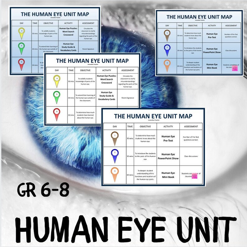 Human Eye Unit Middle School Science | Etsy