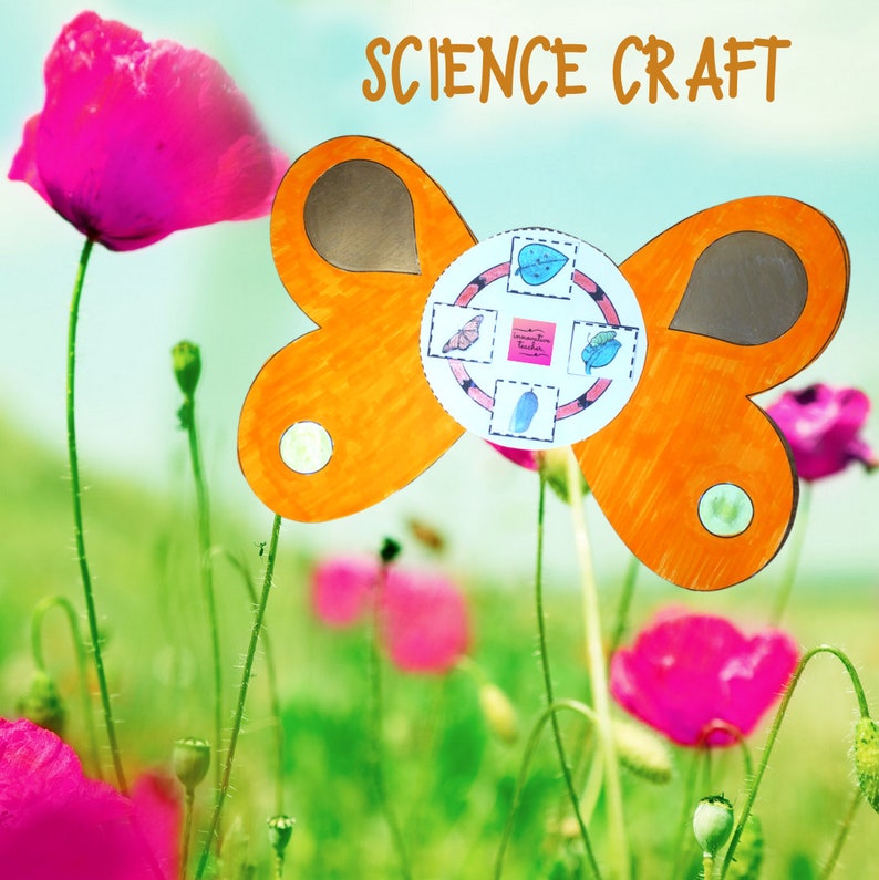 Butterfly Life Cycle Science Activity and Craft - Etsy