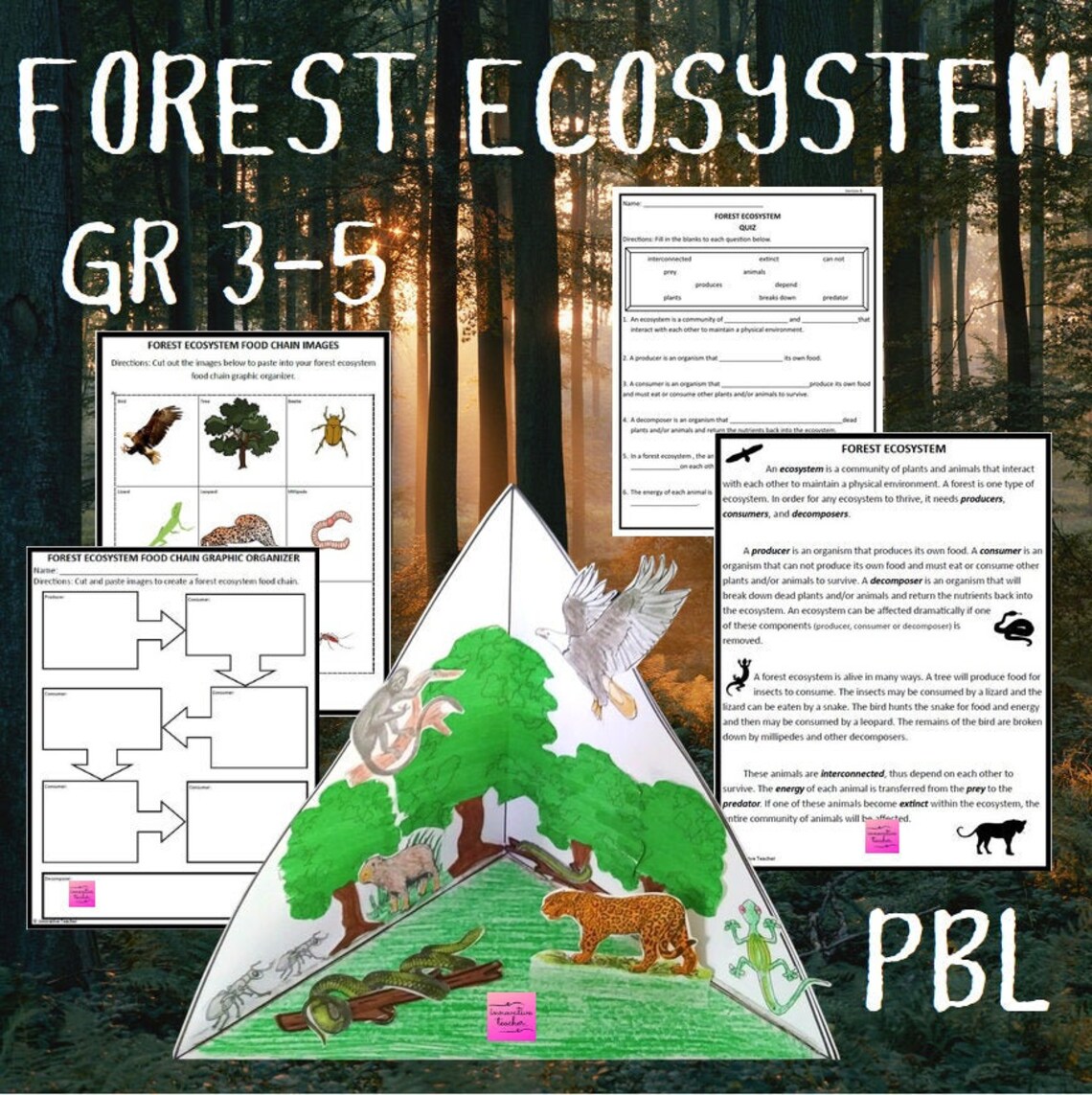 Forest Ecosystem Science Diorama Project | Etsy