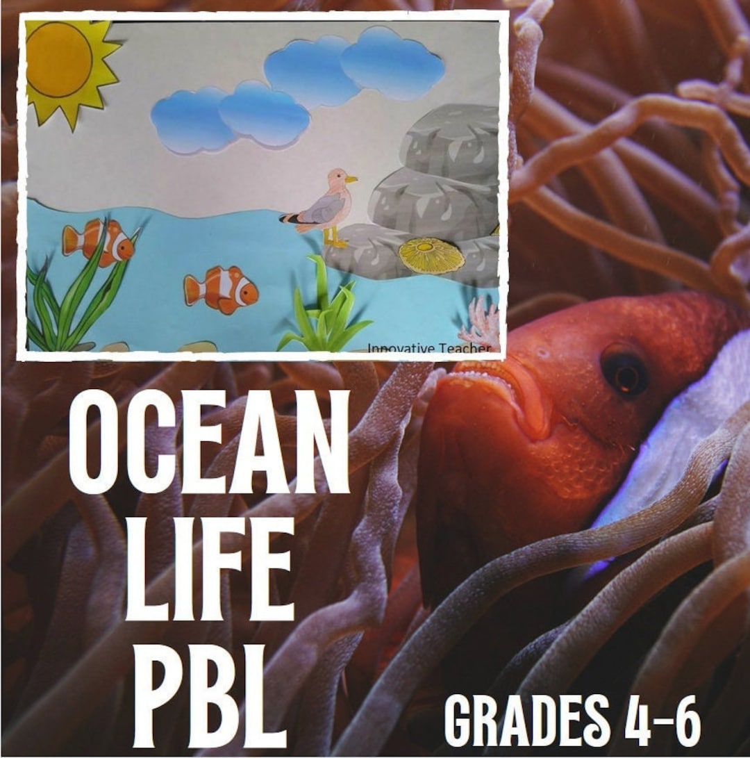 Ocean Life Ecosystem Science Unit | Project Based Learning - Etsy
