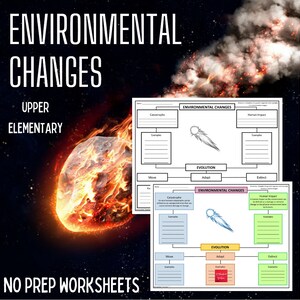 Environmental Changes Graphic Organizer | Middle School Science - Etsy