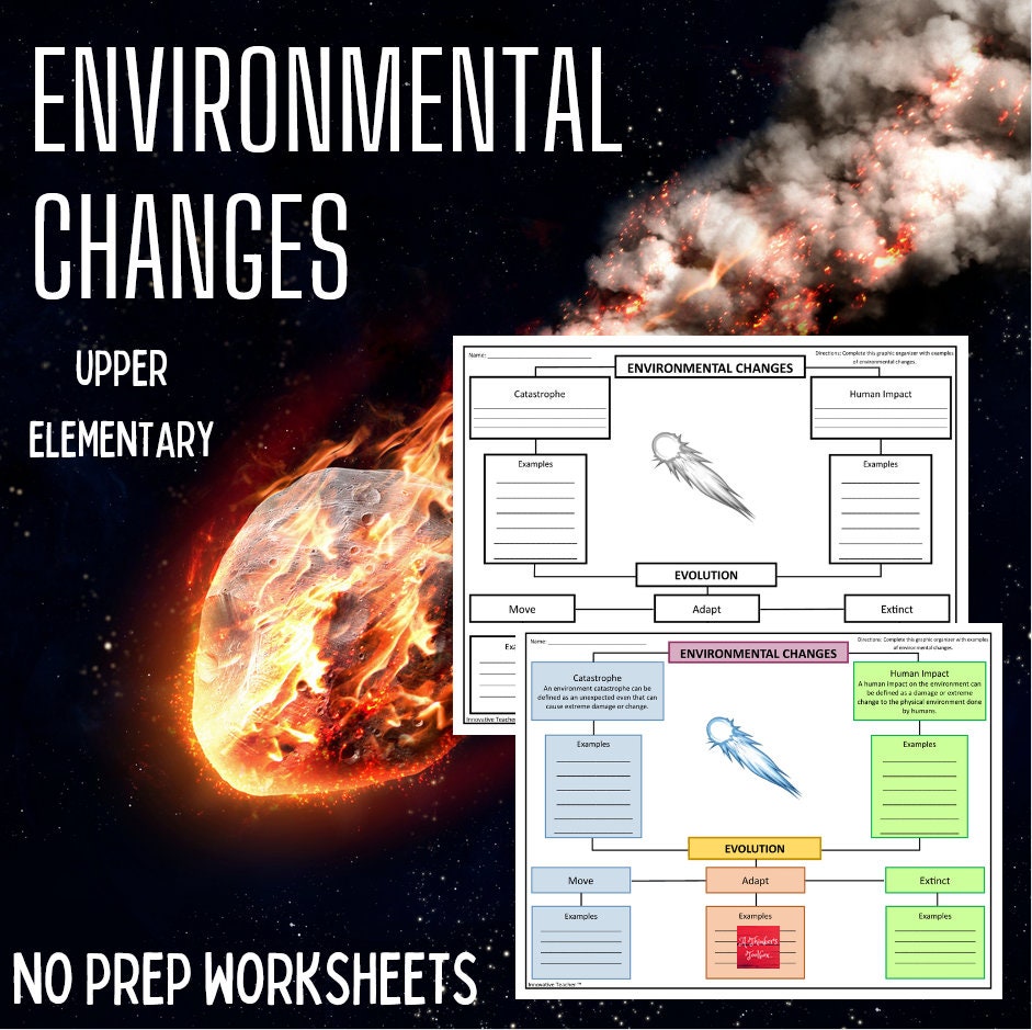 Environmental Changes Graphic Organizer Middle School Science - Etsy