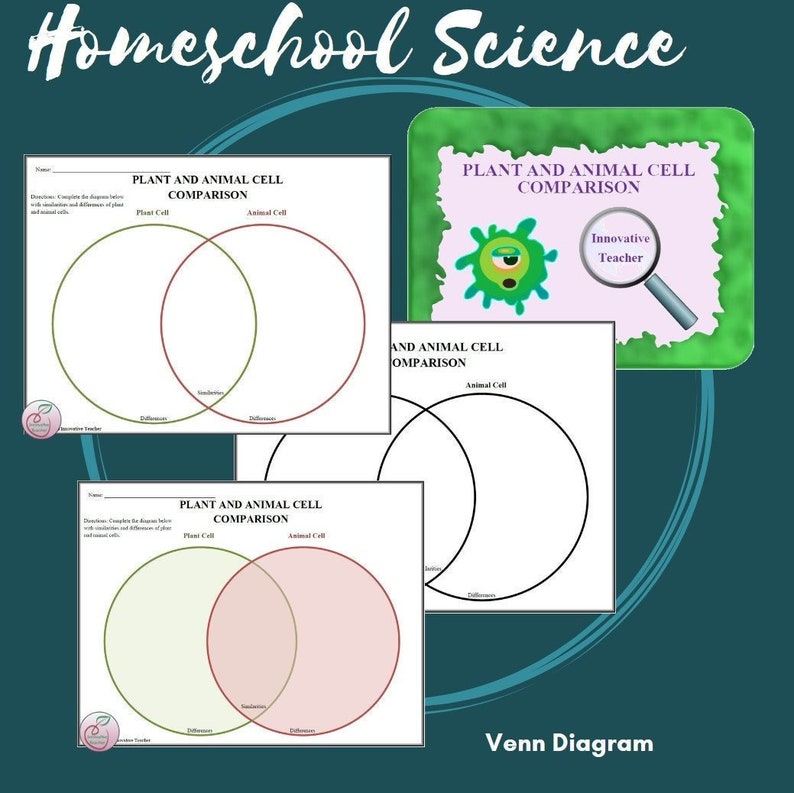 Plant and Animal Cell Science Venn Diagram Worksheet - Etsy