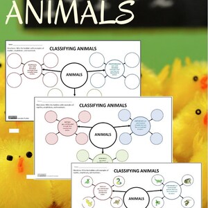 Life Sciences Graphic Organizer BUNDLE - Etsy