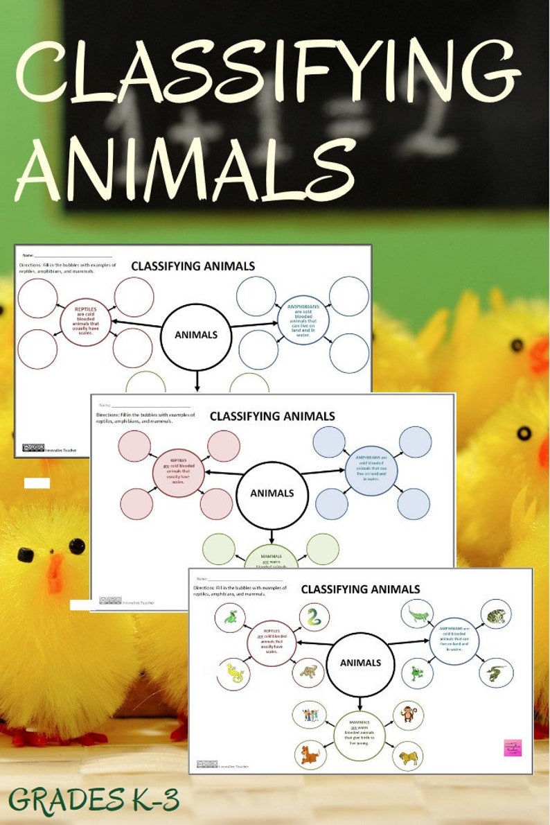 Life Sciences Graphic Organizer BUNDLE - Etsy