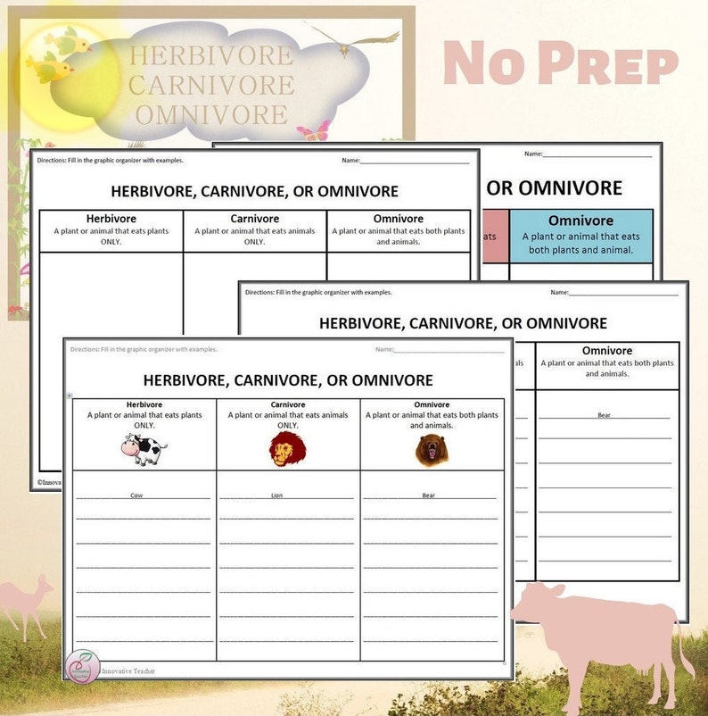 Herbivore, Carnivore, Omnivore Science Graphic Organizer - Etsy