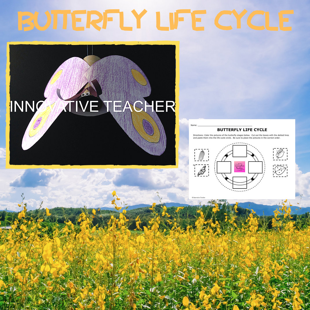 Butterfly Life Cycle Science Activity and Craft - Etsy