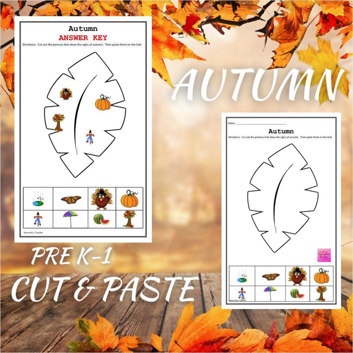 Signs of the Seasons Cut & Paste Activity - Etsy