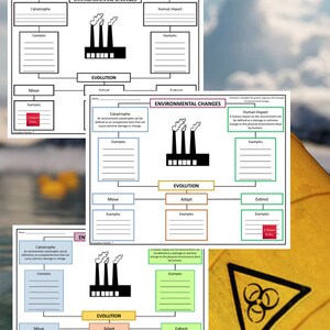 Environmental Changes Graphic Organizer | Middle School Science - Etsy