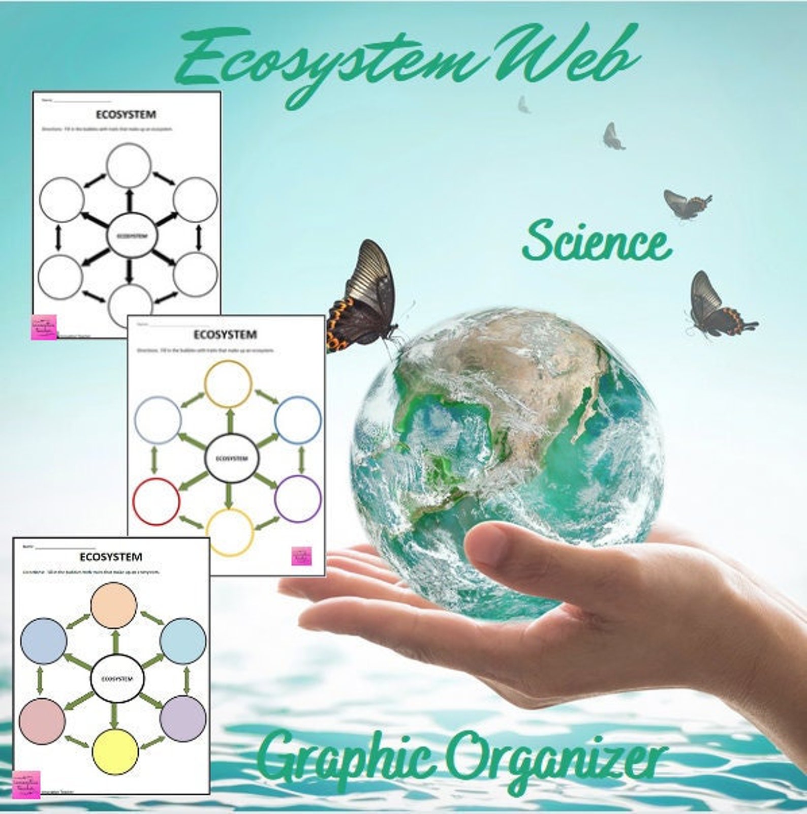 Ecosystems Web Graphic Organizer Middles School Science | Etsy