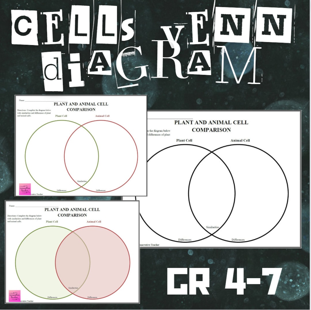 Plant and Animal Cell Science Venn Diagram Worksheets - Etsy