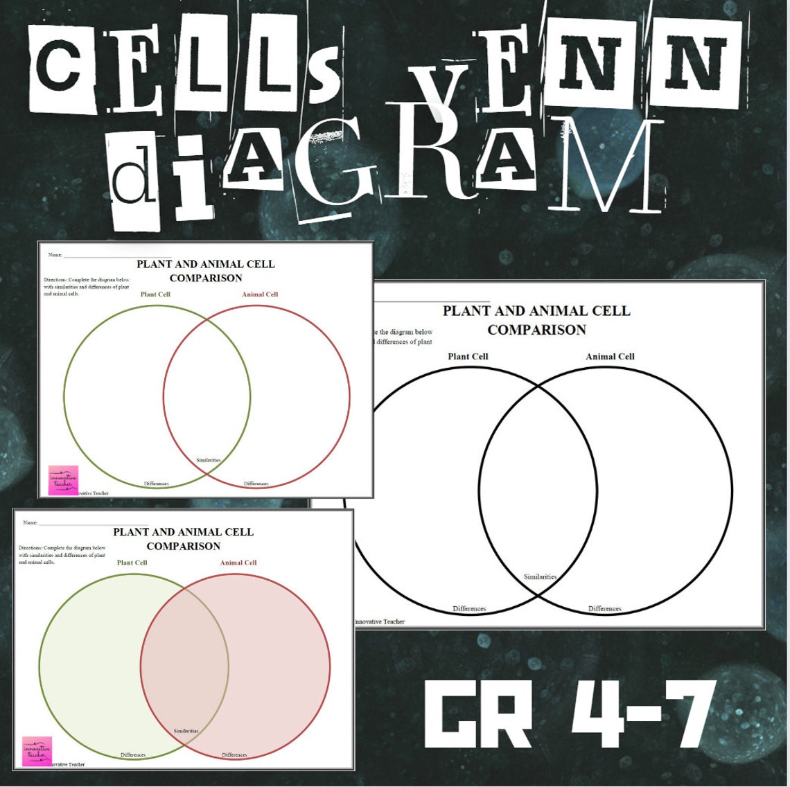 Plant and Animal Cell Science Venn Diagram Worksheets - Etsy