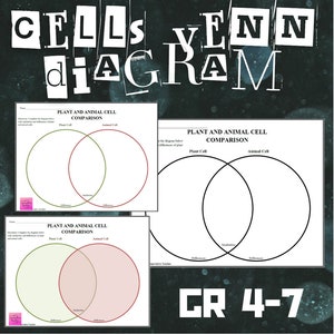 Plant and Animal Cell Science Venn Diagram Worksheets - Etsy