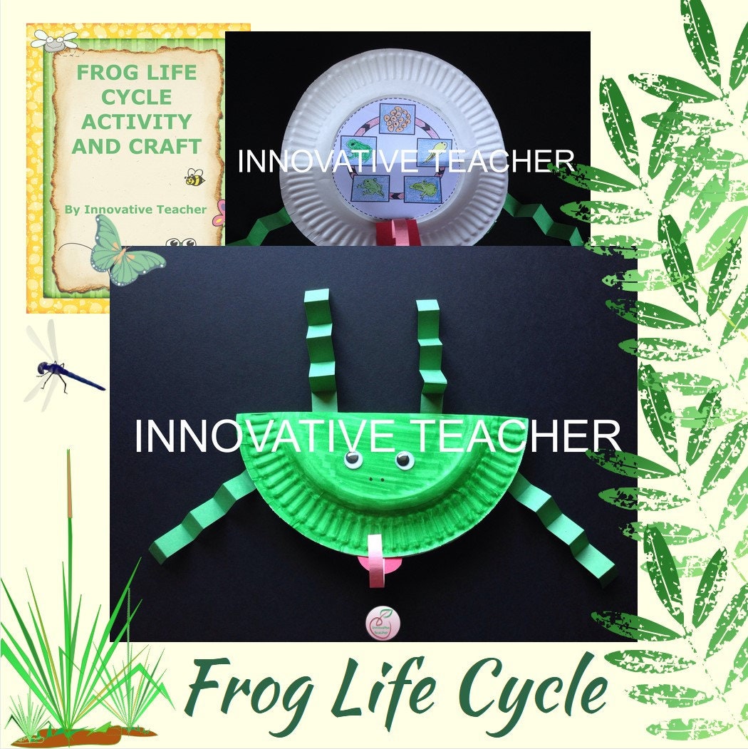 Frog Life Cycle Activity and Craft - Etsy