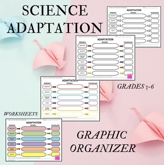 Adaptation Science Graphic Organizer | Etsy