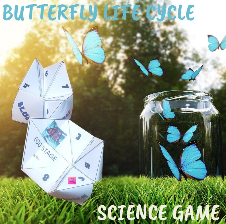 Butterfly Life Cycle Science Game - Etsy