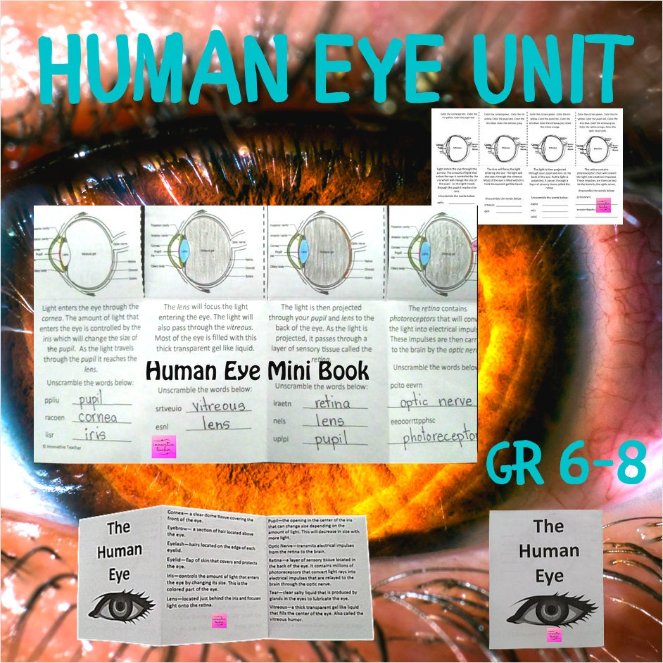 Human Eye Unit | Middle School Science - Etsy