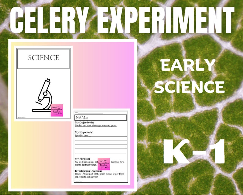 Early Science - Celery Experiment | K-1 - Etsy