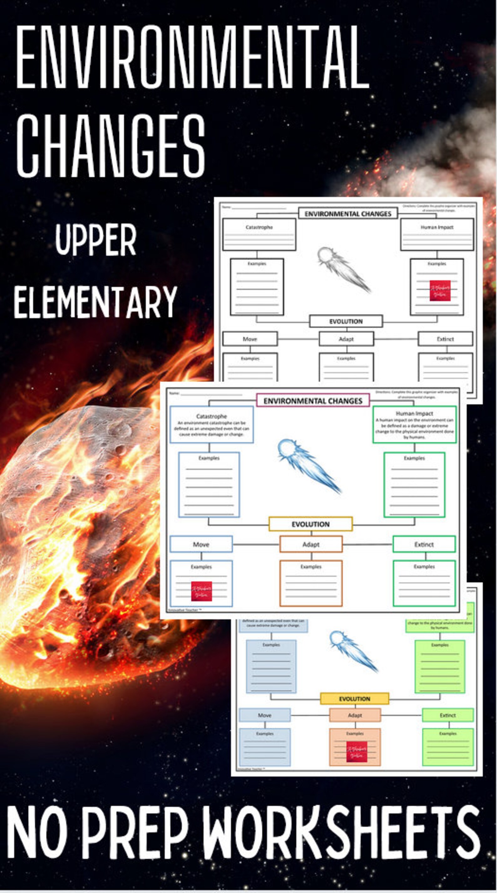 Environmental Changes Graphic Organizer | Middle School Science - Etsy