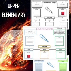 Environmental Changes Graphic Organizer | Middle School Science - Etsy
