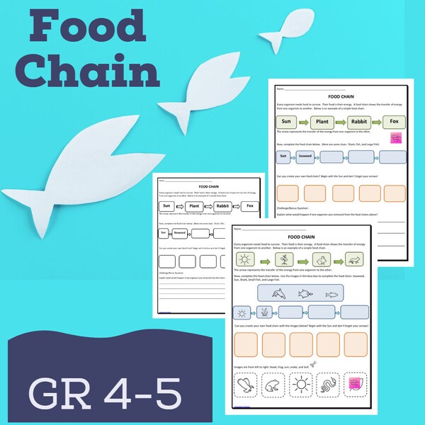 Food Chain Worksheet - Etsy
