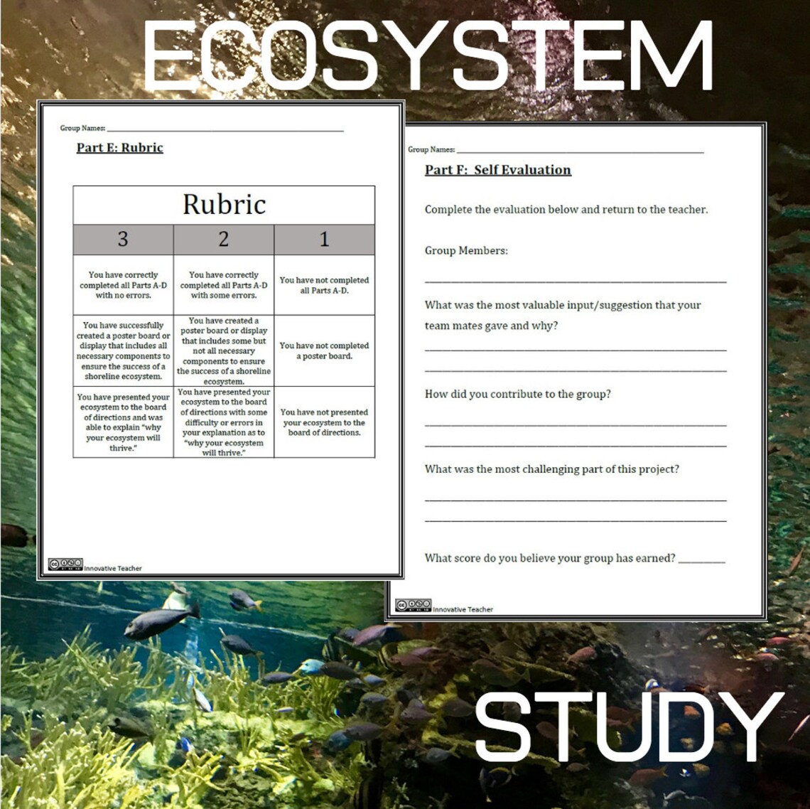 Ocean Life Ecosystem Science Unit | Project Based Learning - Etsy