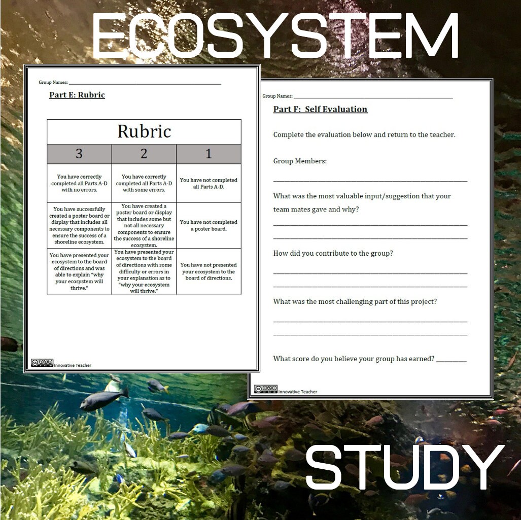 Ocean Life Ecosystem Science Unit | Project Based Learning - Etsy